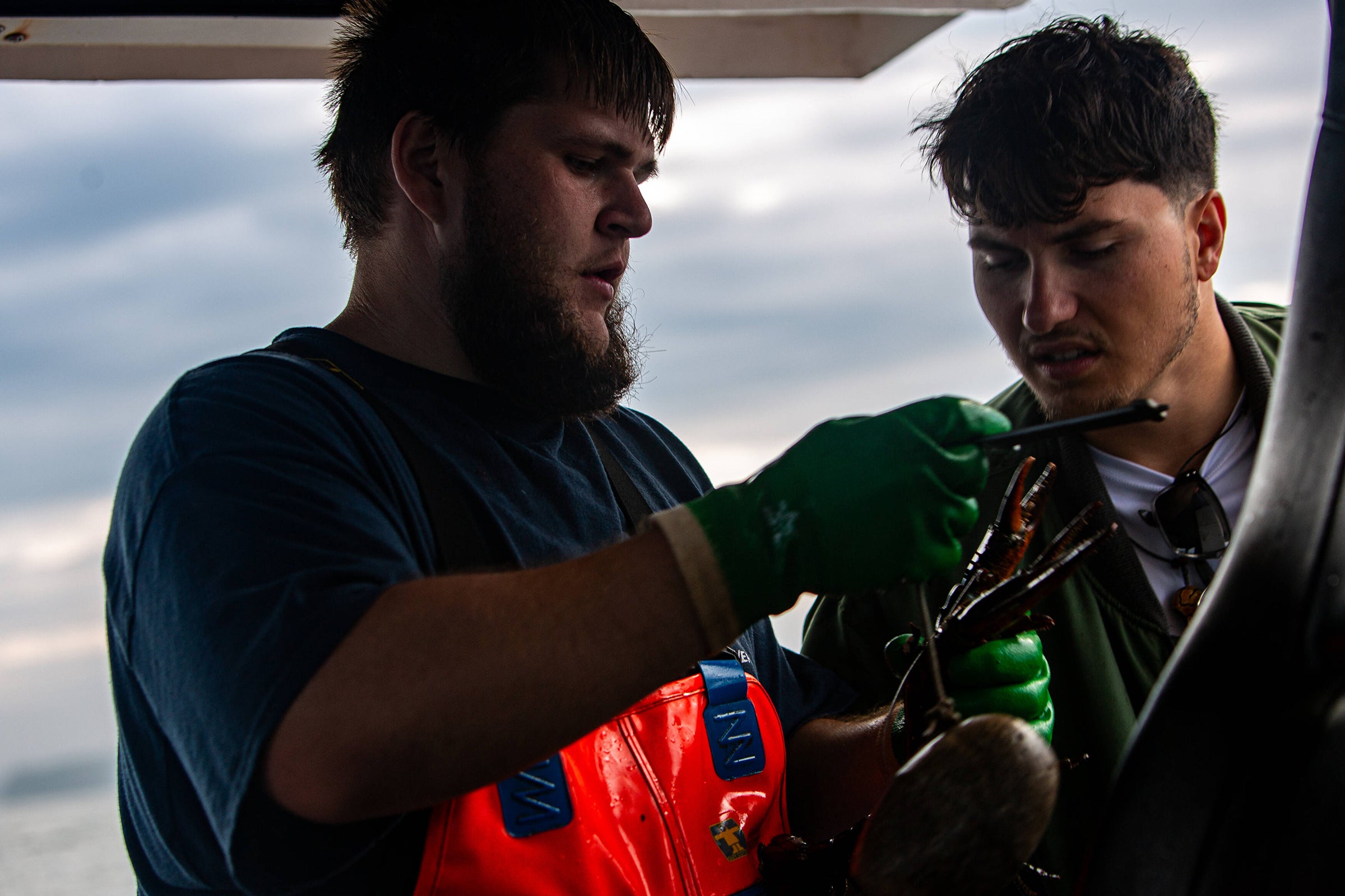 Marketing | Social Media Management | Video Production | ZDT ...