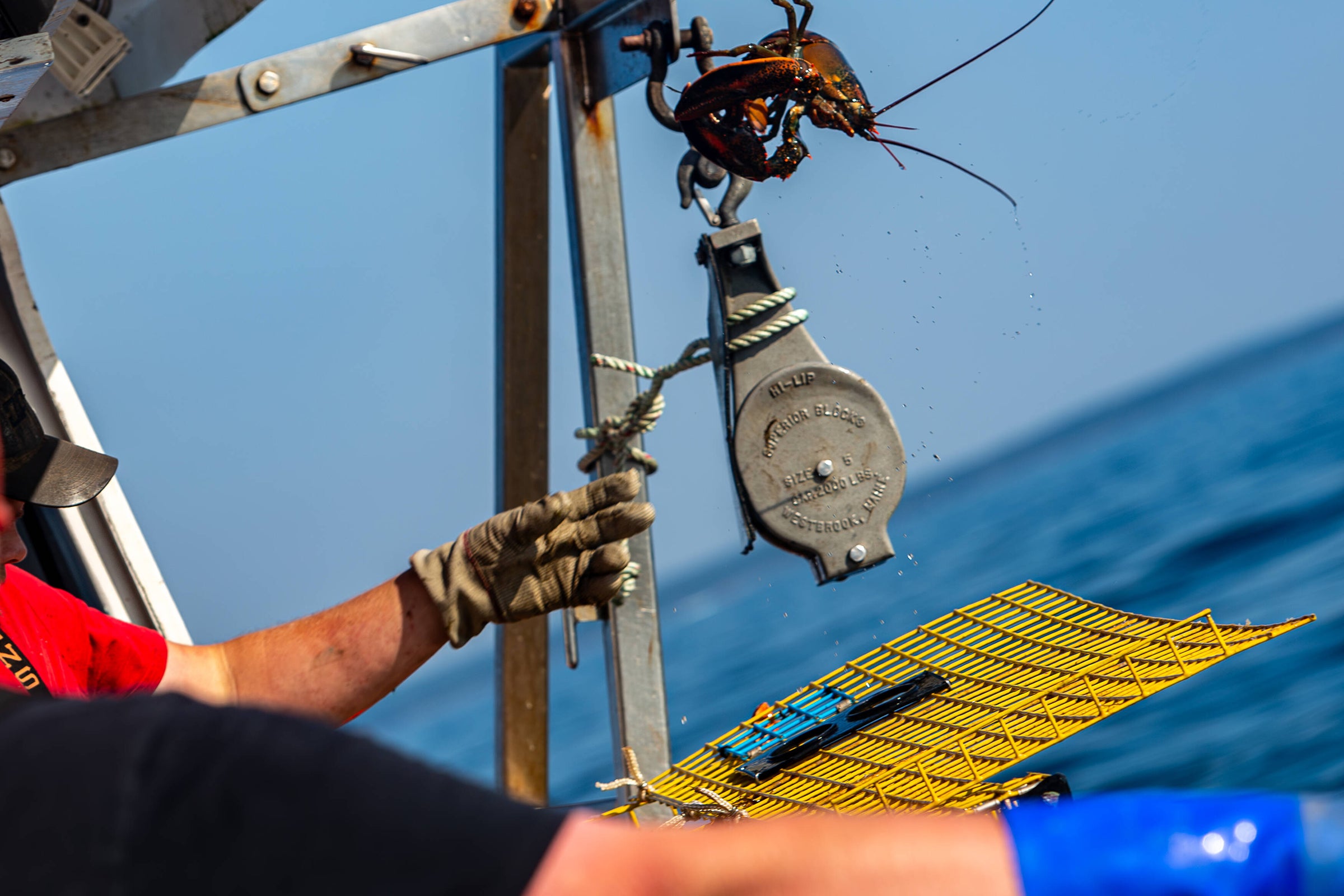 Marketing | Social Media Management | Video Production | ZDT ...