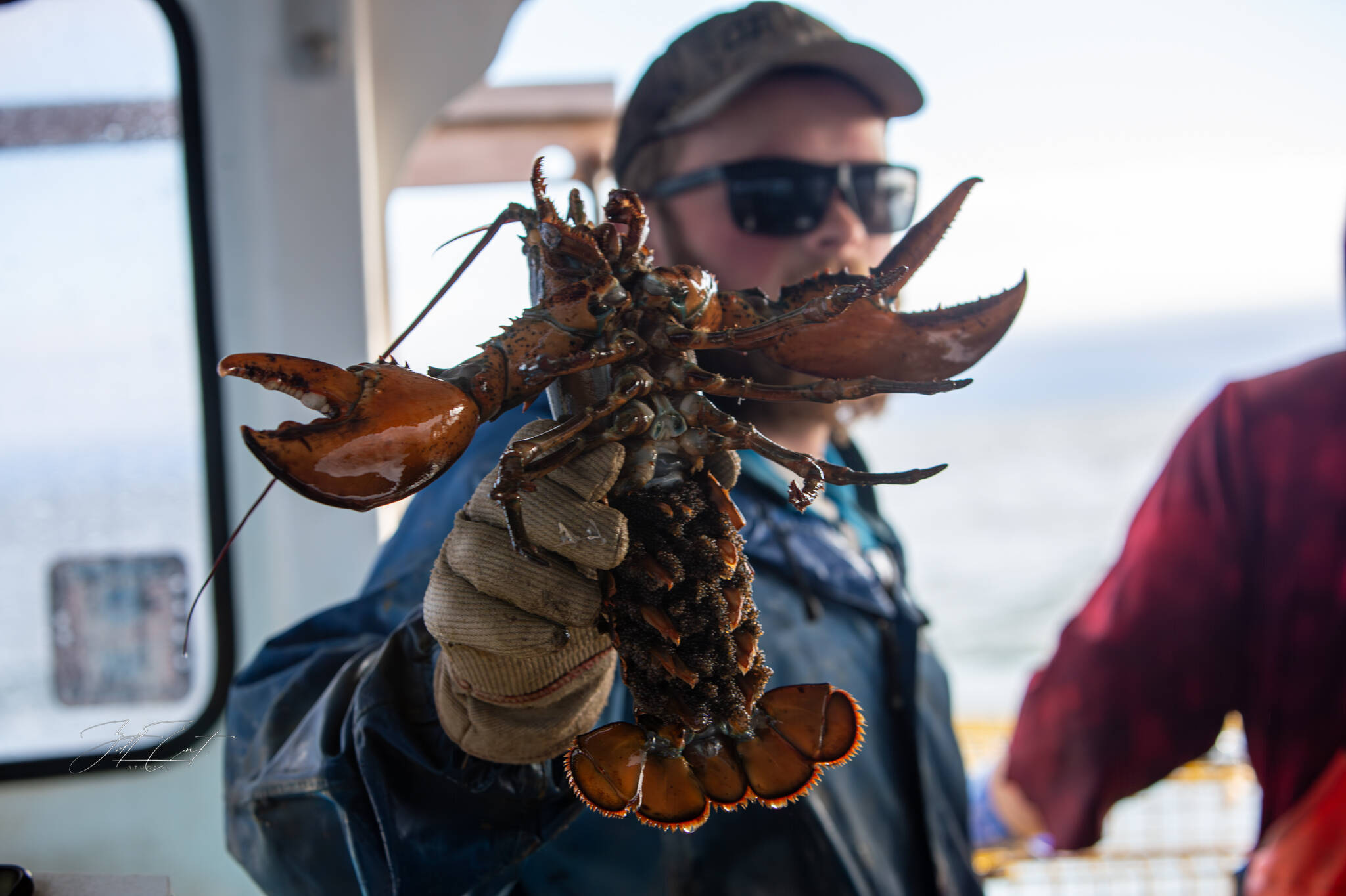 About ZDT Ent. Studios | ZDT Entertainment Studios