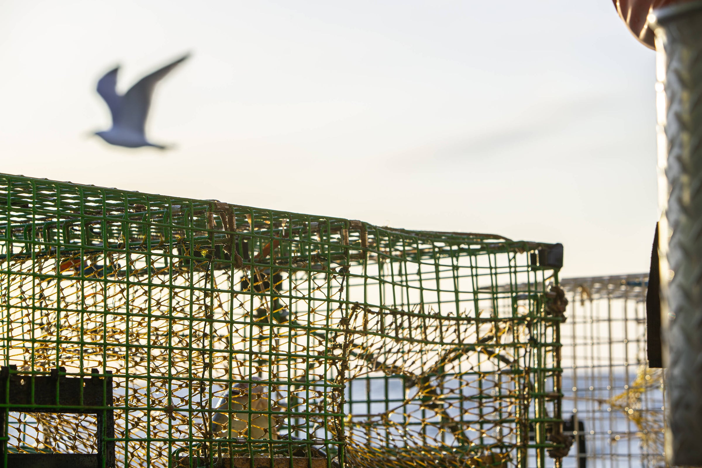 Marketing | Social Media Management | Video Production | ZDT ...